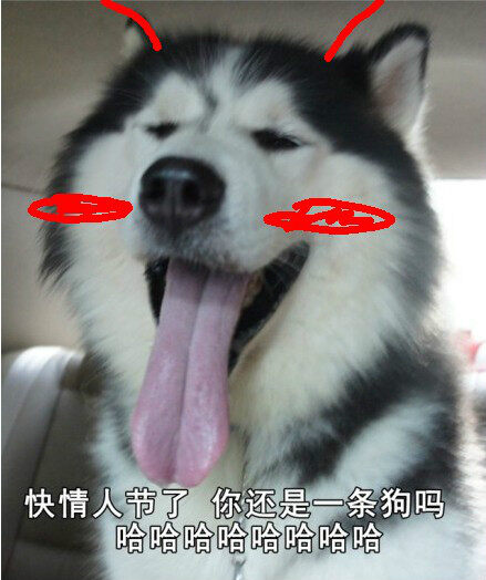 剑网3漫画 当一只哈士奇有了情缘后 剑网3漫画 哈士奇 情缘 17173剑网3官网合作专区 17173 com中国游戏第一门户站