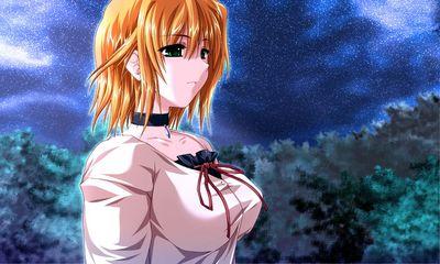 兄妹间的羁绊《魂響～圆环的羁绊》CG __17173.com中国游戏门户站