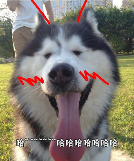 《剑网3》漫画 当一只哈士奇有了情缘后_剑网3漫画,哈士奇,情缘_17173剑网3官网合作专区_17173.com中国游戏第一门户站